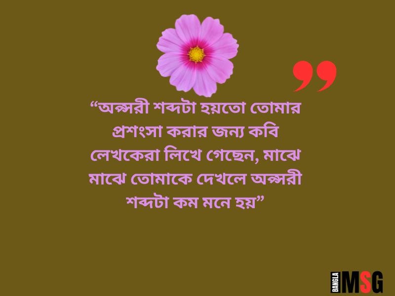 ২৫০+ মেয়েদের প্রশংসা করার মেসেজ, SMS, উক্তি, ক্যাপশন ২০২৬
