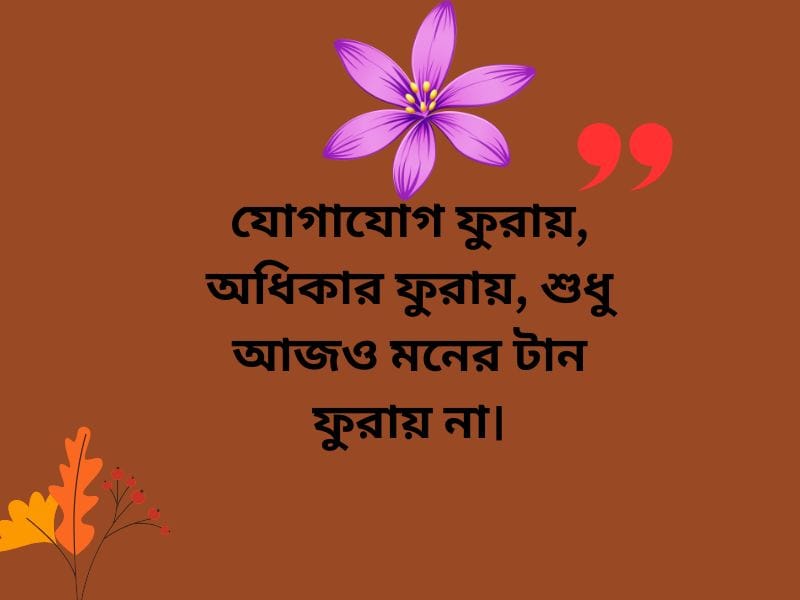 মন নিয়ে উক্তি: সুস্থ, প্রশান্ত, ও মনের যত্ন নিয়ে স্ট্যাটাস - Bangla Msg